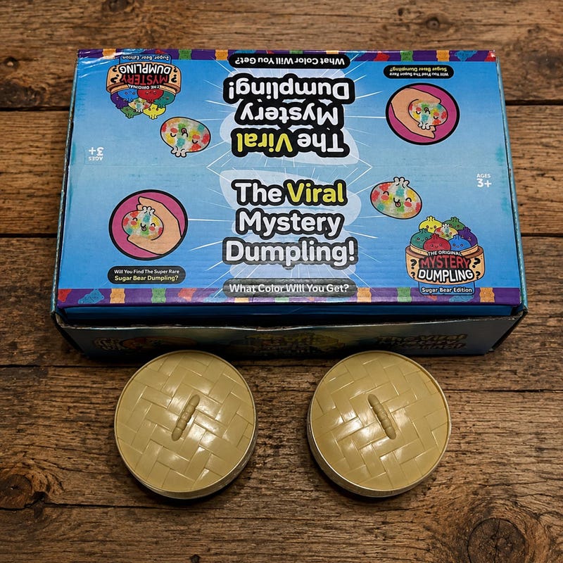 Dumpling squishy toy with box - Etsy Italia