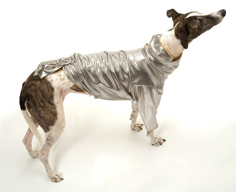 The Smoldering Silver Lounge Dog PJ - Etsy
