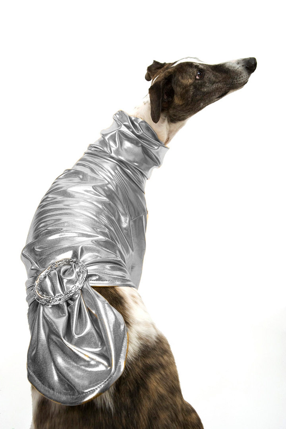 The Smoldering Silver Lounge Dog PJ - Etsy