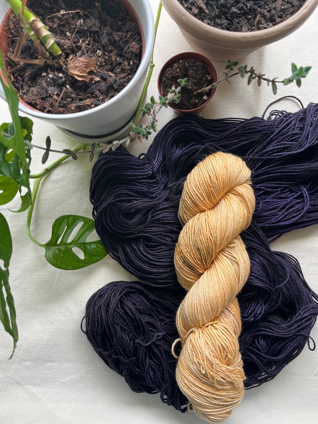 Surprise Sock Along Kit BFL 2 - Etsy