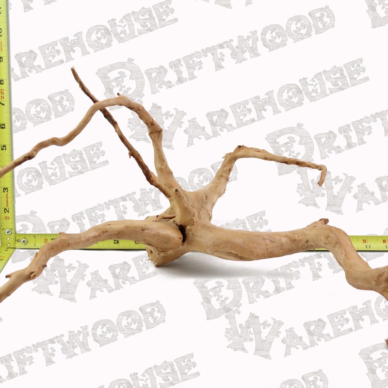 Large Natural Root Branch - Etsy