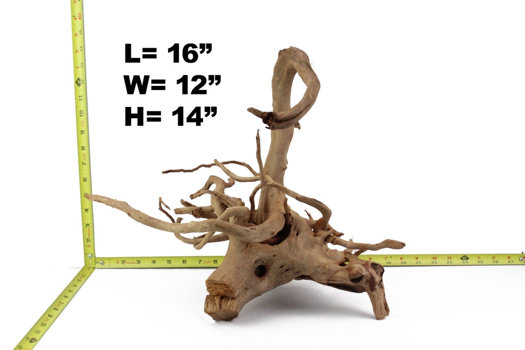 Aquarium Driftwood , Fish Tank Wood, Biophilic Design, Natural Home ...
