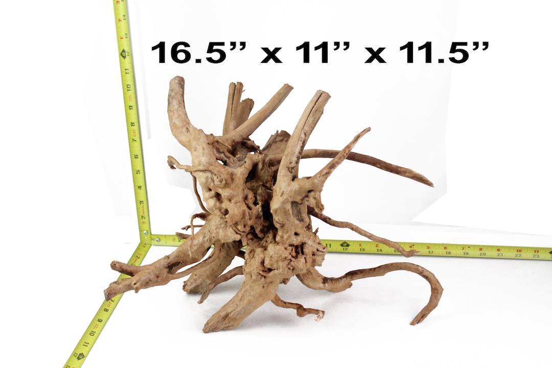 Aquarium Driftwood XL , Fish Tank Wood, Biophilic Design, Natural Home ...