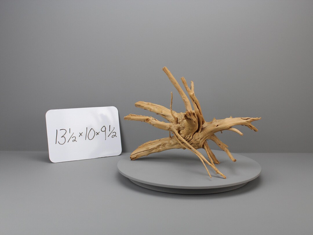 Branchy Spider Wood Aquarium Driftwood | Natural Aquascape Hardscape ...