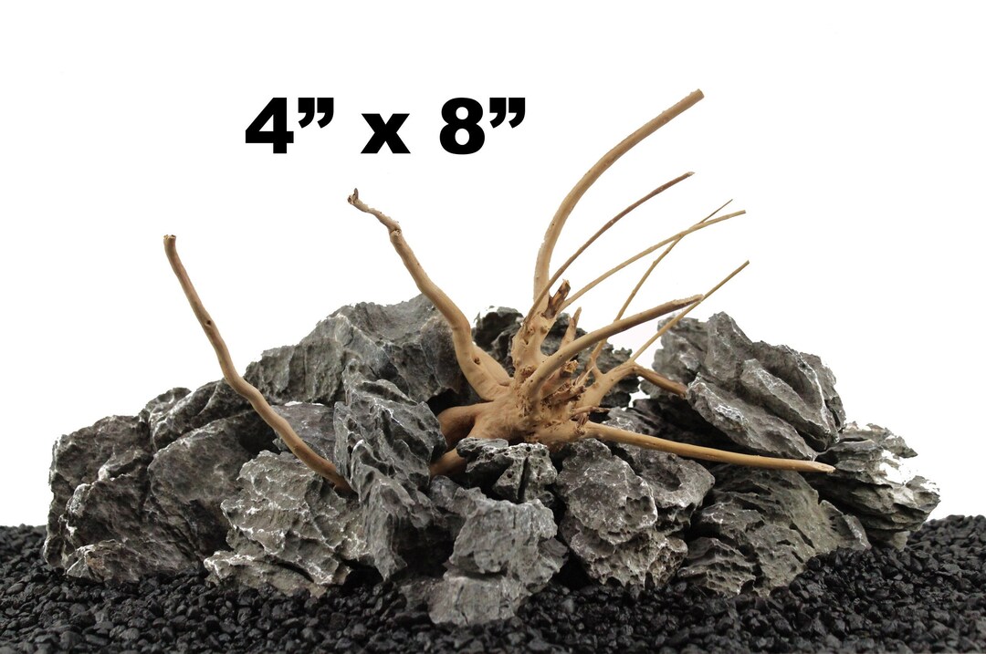 Aquarium Spider Driftwood Small 4 X 8 Inches Lot Bulk Random Fish Betta ...