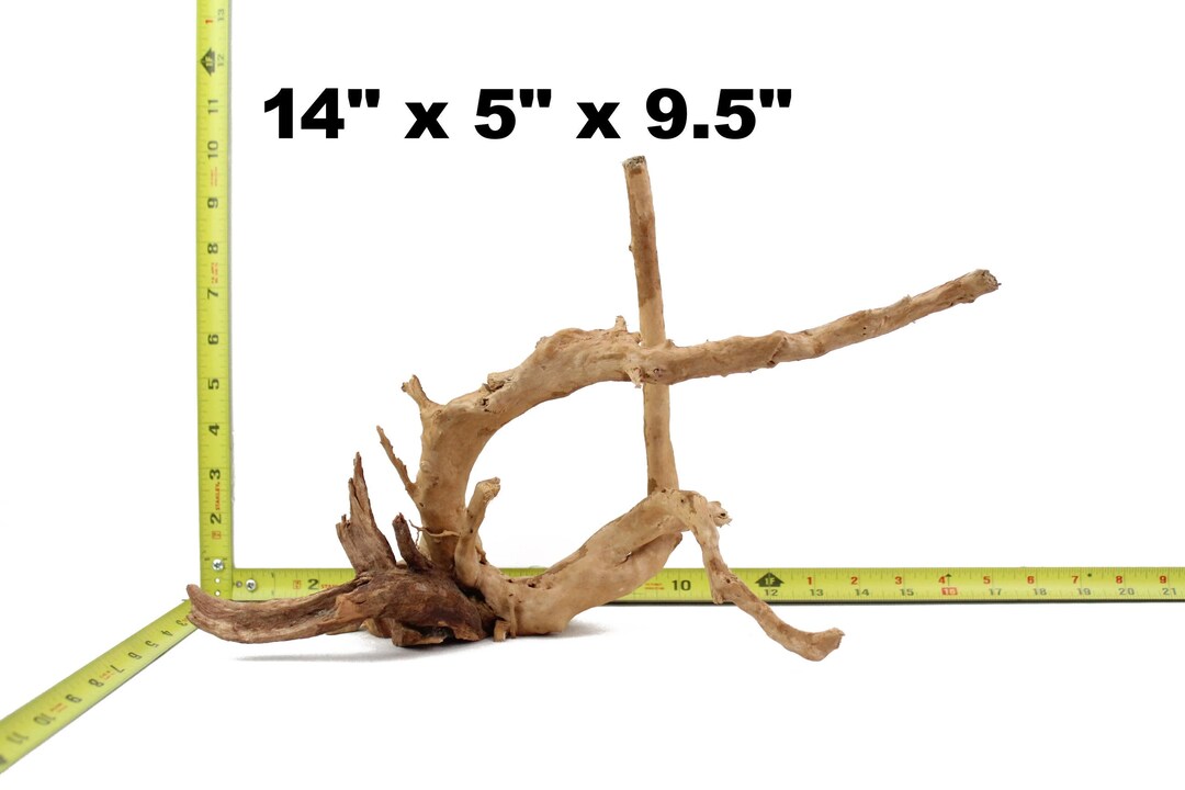 Aquarium Driftwood , Fish Tank Wood, Biophilic Design, Natural Home ...