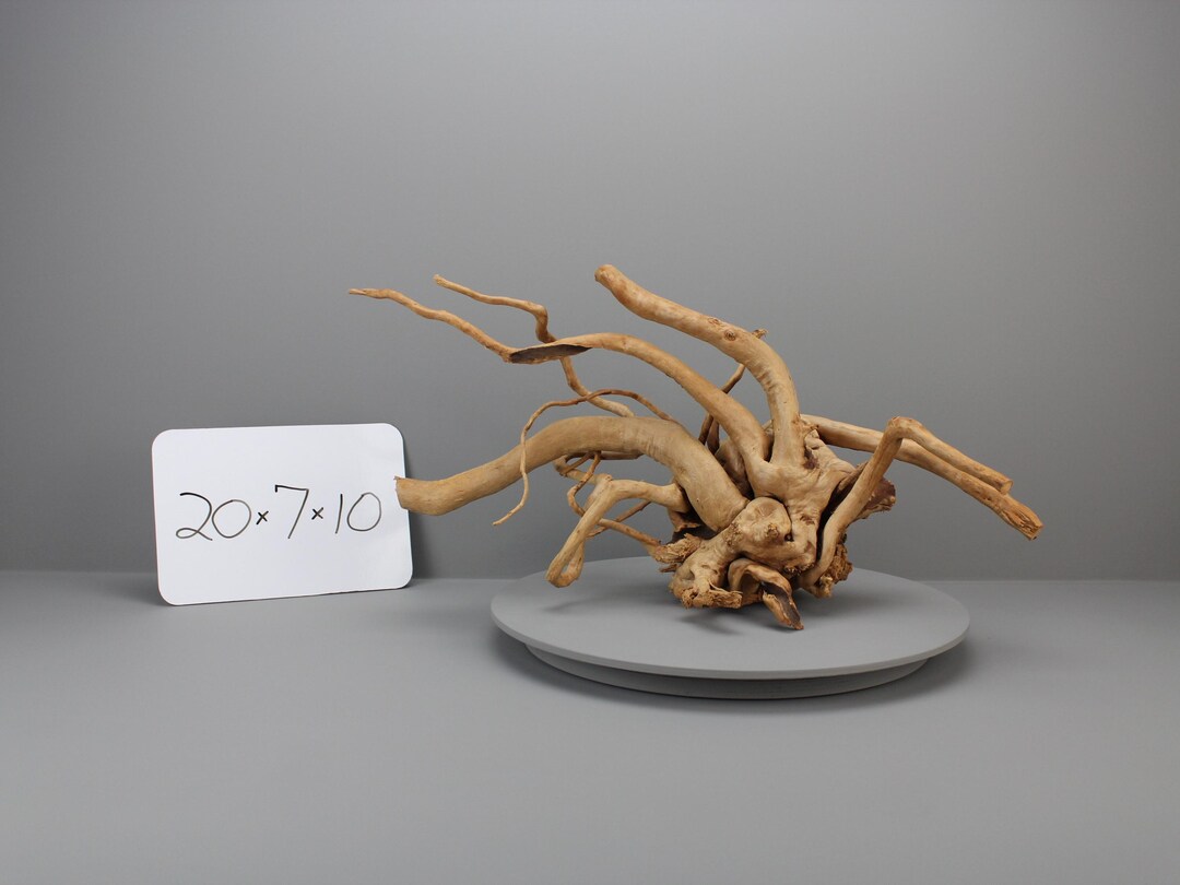 XL Branchy Spider Wood Root | Natural Aquarium Driftwood for ...