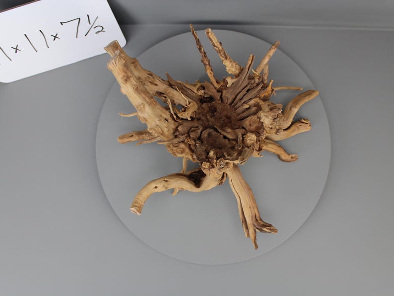 Spider Wood Driftwood for Aquarium | Natural Tree Root Hardscape Decor ...