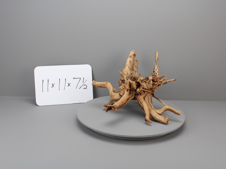 Spider Wood Driftwood for Aquarium | Natural Tree Root Hardscape Decor ...