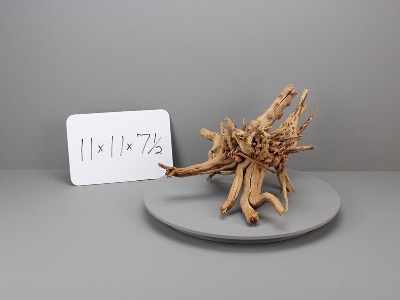 Spider Wood Driftwood for Aquarium | Natural Tree Root Hardscape Decor ...