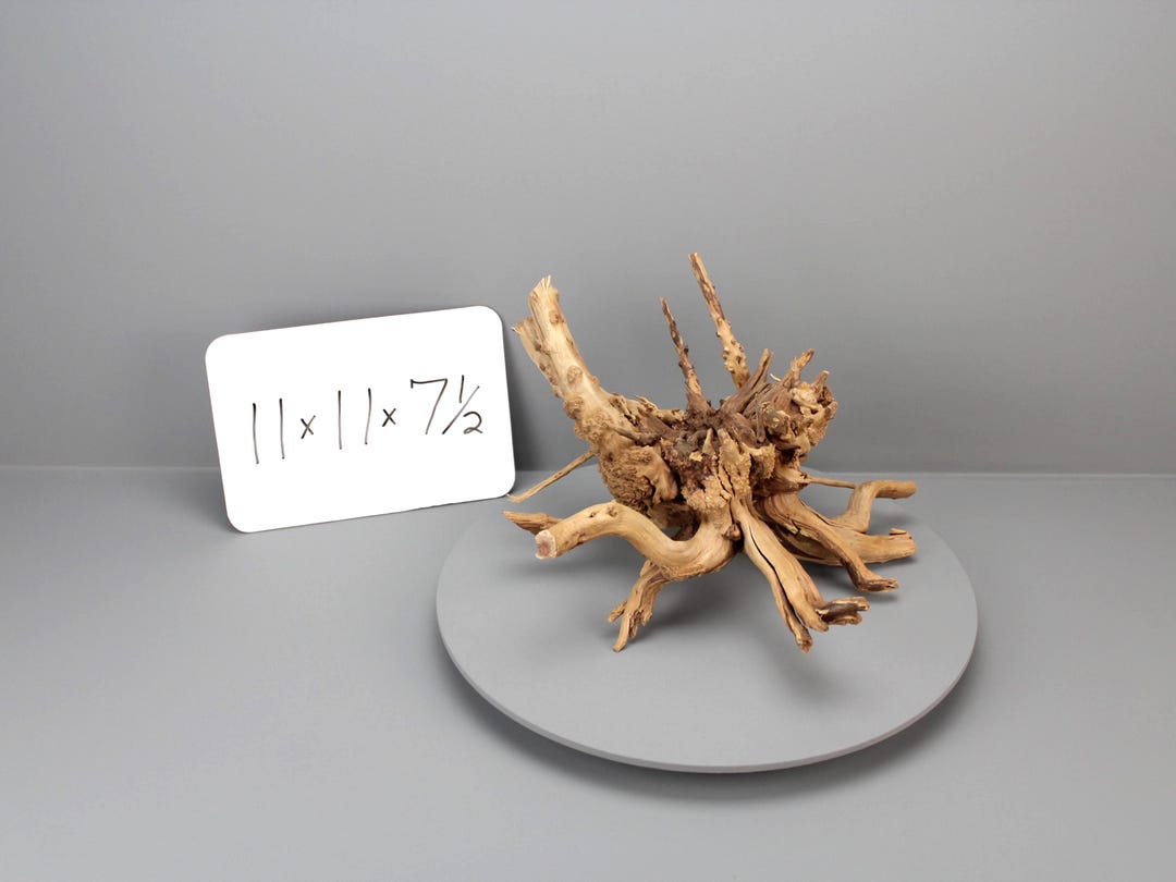 Spider Wood Driftwood for Aquarium | Natural Tree Root Hardscape Decor ...