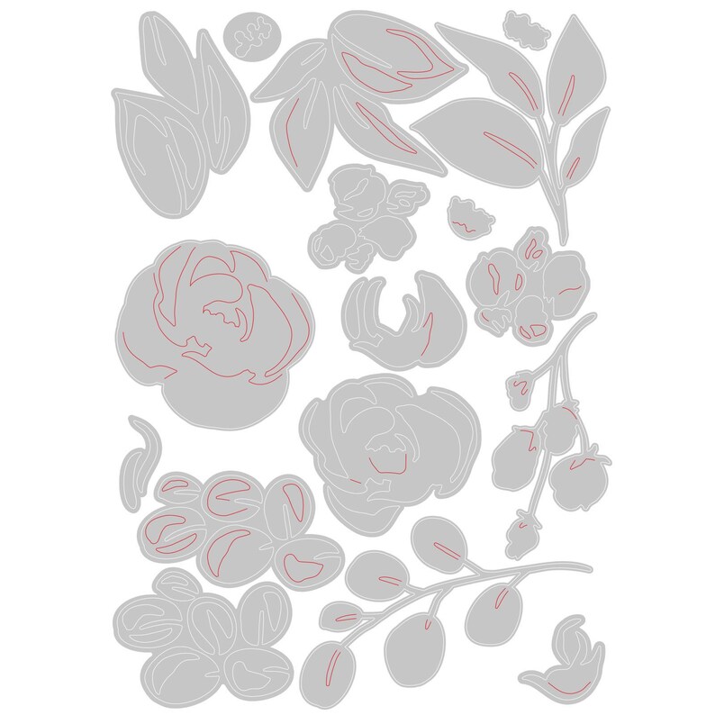 Sizzix Thinlits Die Set 17PK Bloom Colorize by Tim Holtz - Etsy