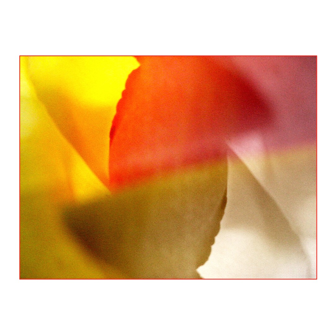 Butterfly - Digital Altered Photography JPEG Image Instant Download - Etsy