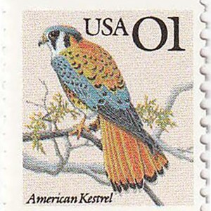 USA Stamp _ USA Postage Stamp 1 Cent & 2 Cent Bird Image 5 Pcs Total - Etsy