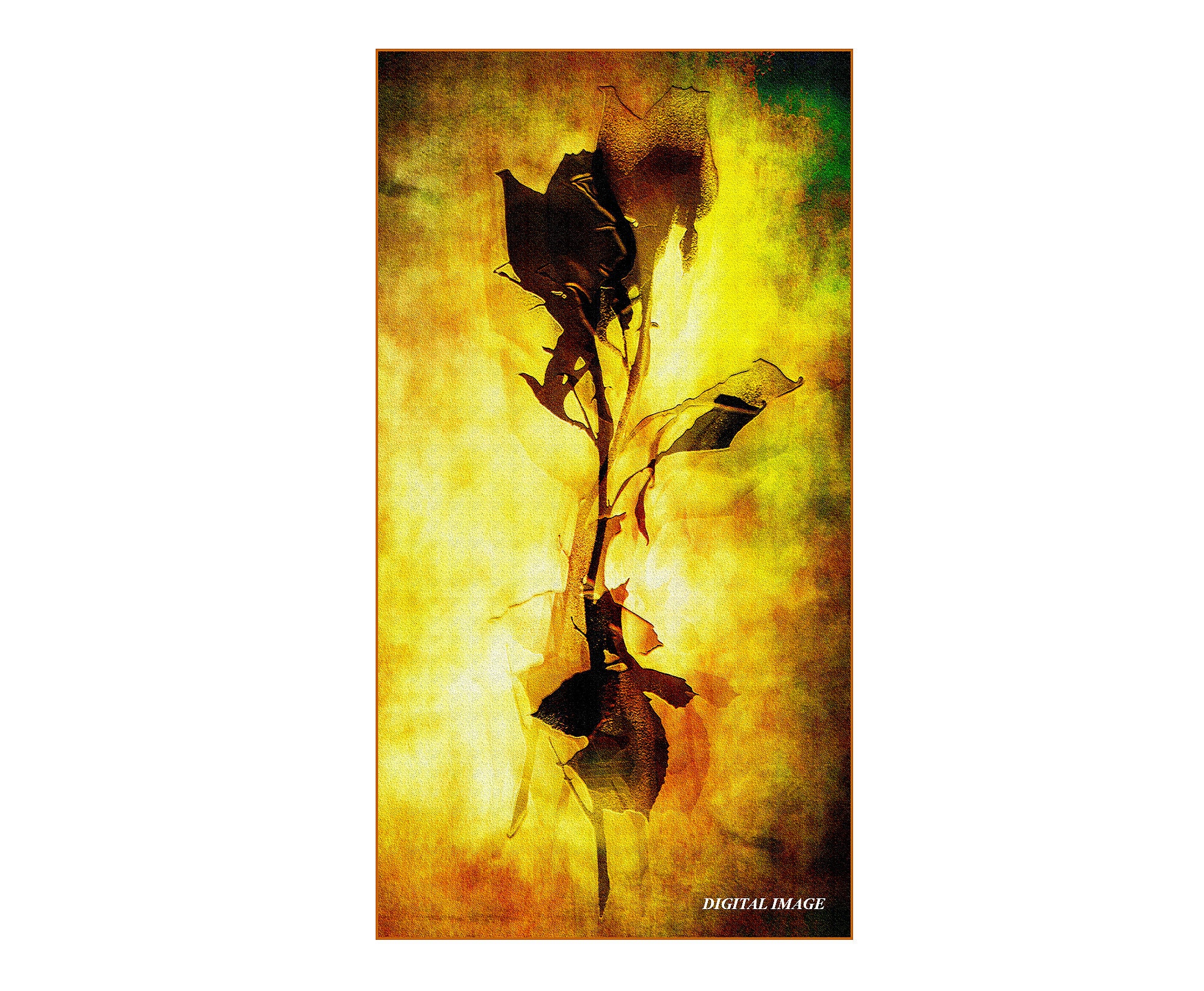 Roses Digital Altered Photography JPEG Image Instant Download | Etsy