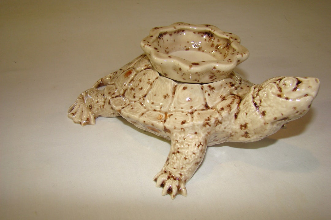 Sm. Turtle Violet Pot Yadro Print - Etsy