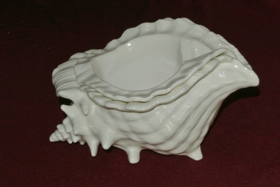 Sm. Conch Shell Planter (white) - Etsy