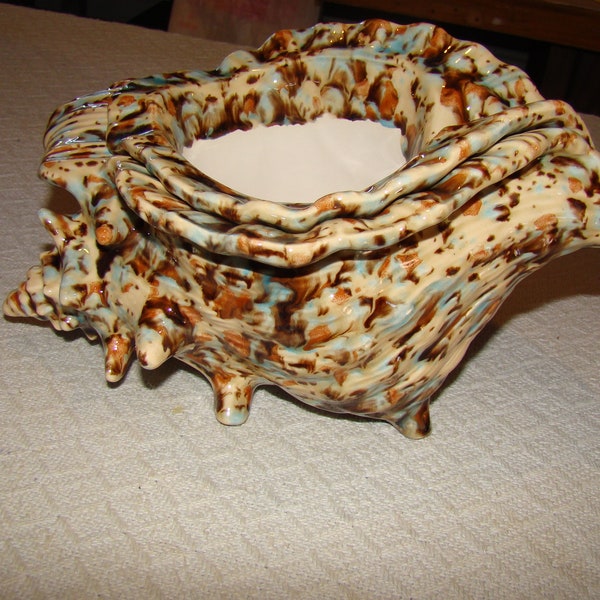 Conch Shell Planter - Etsy