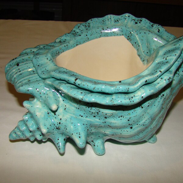 Conch Shell Planter - Etsy