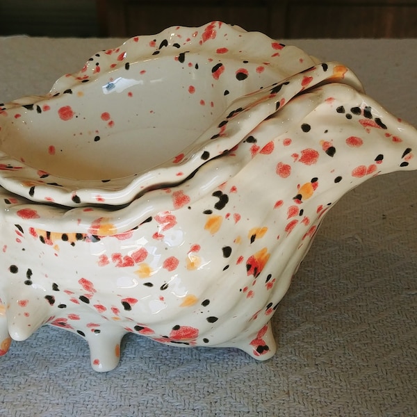 Conch Shell Planter - Etsy