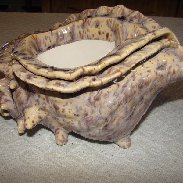 Conch Shell Planter - Etsy