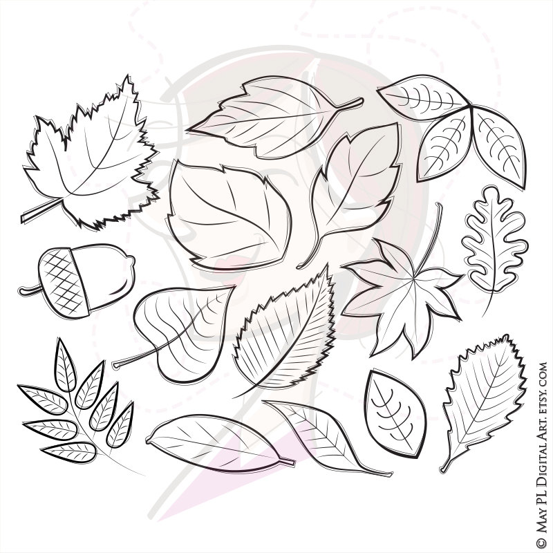 Fall Leaves Autumn Clipart Hand Drawn Leaf Digital Stamp - Etsy UK