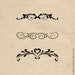 Decorative Fancy Graphics, Floral Ornaments Luxury Design Elements ...