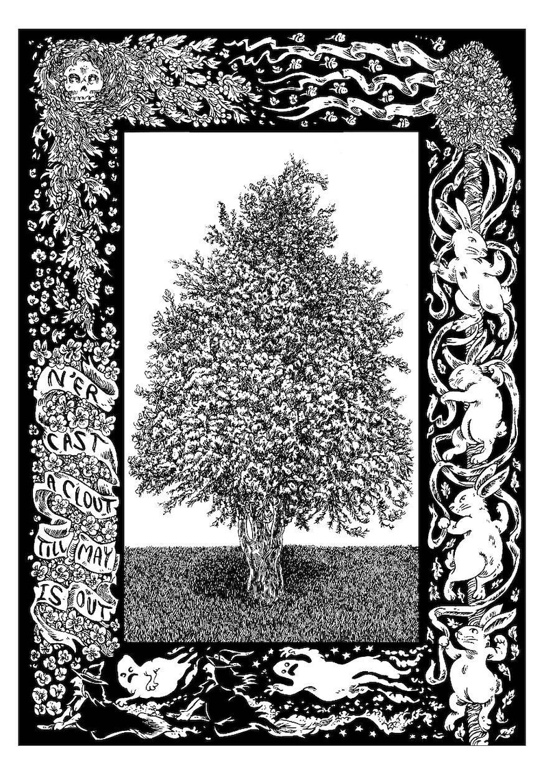 Hawthorn Tree Folklore A5 Print - Etsy