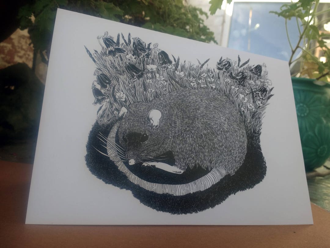Illustrated Greetings Card - 'the Napping Rat'. - Etsy