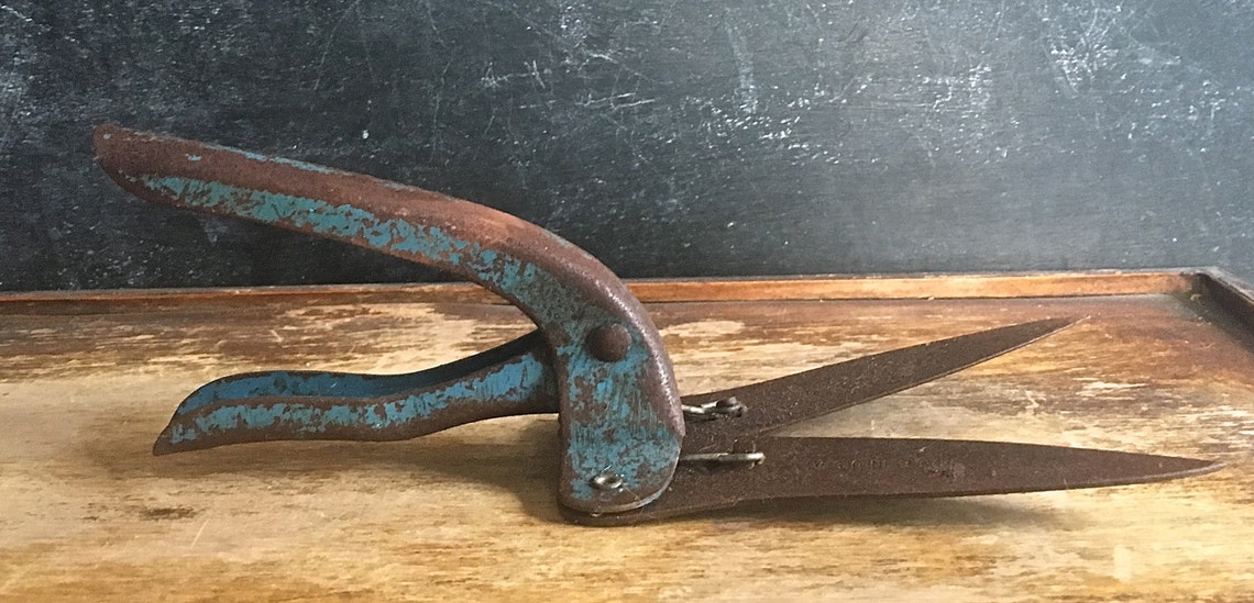 Distressed Garden Shears Blue Chippy Paint Rusty Hand Tool - Etsy