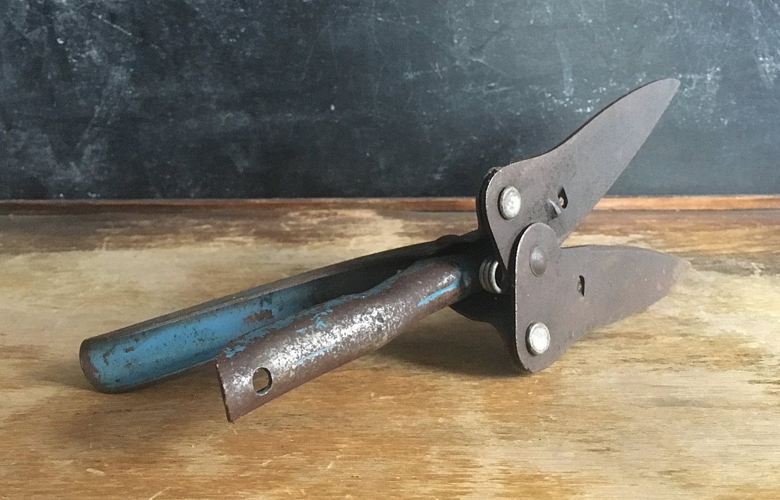 Distressed Garden Shears Blue Chippy Paint Rusty Hand Tool - Etsy