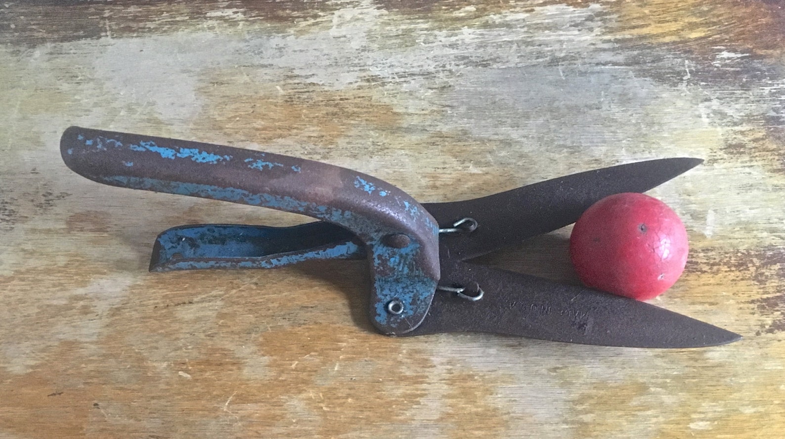 Distressed Garden Shears Blue Chippy Paint Rusty Hand Tool - Etsy