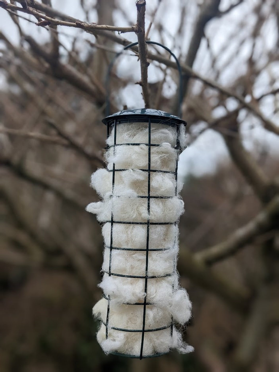 Bird Nesting Material Wool Nesting Bird Feeder British Wool - Etsy