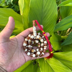 Natural Sumatra Zebra Amber Tasbih – White Yellow Capsule Prayer Beads ...