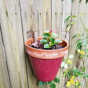 7 to 10 Inch Terracotta Pot Brackets, Pot Holders, Clay Pot Holders ...