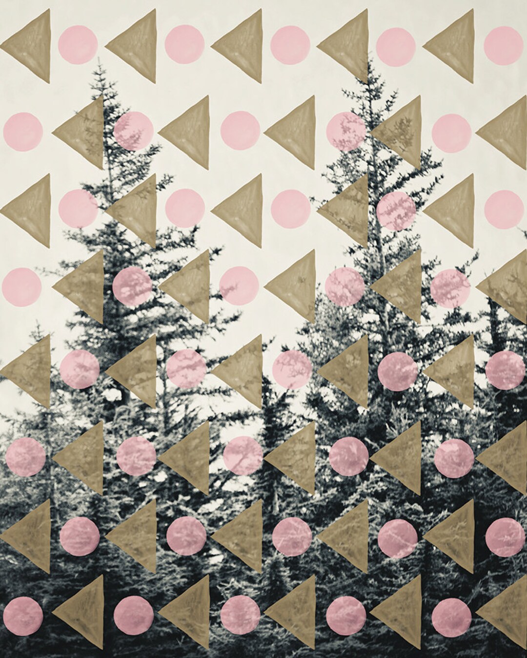 Geometric Trees 8x10 Photograph Alaskan Forest Fine Art Print Geometric ...