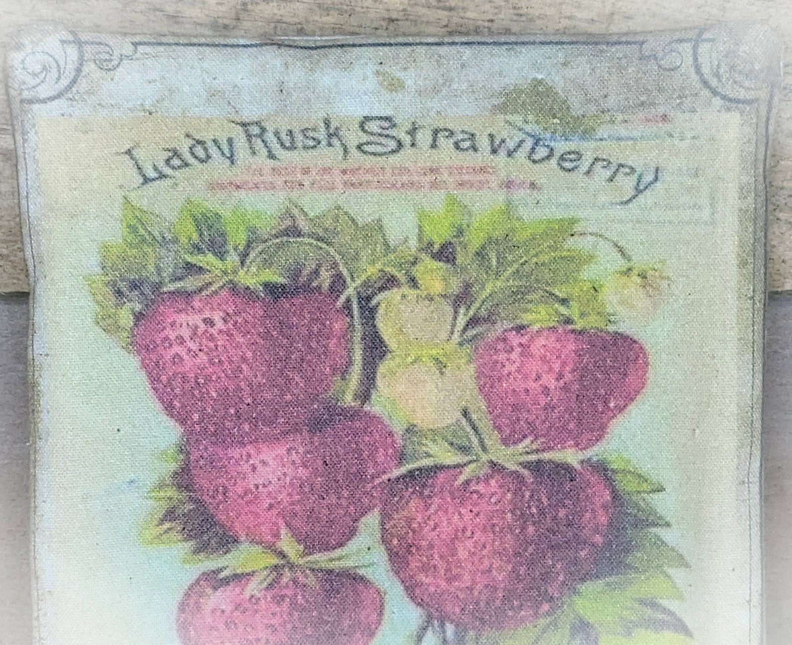 Primitive Fabric Strawberry Seed Packet Bowl Filler Tiered - Etsy