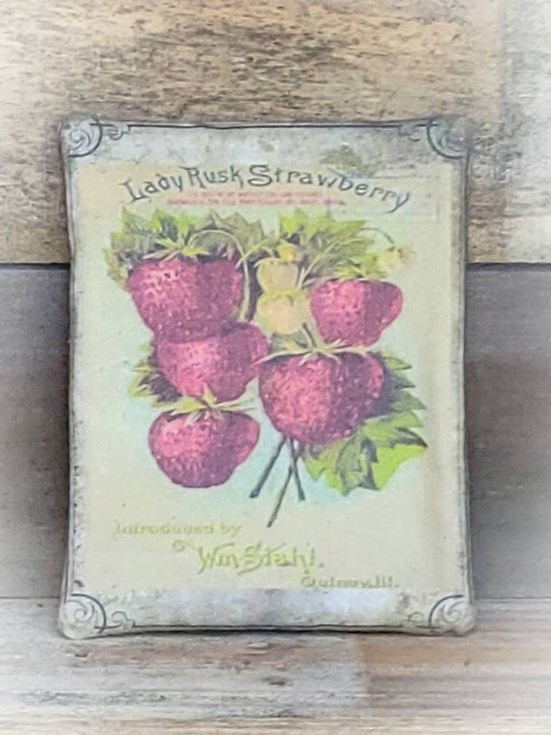 Primitive Fabric Strawberry Seed Packet Bowl Filler - Tiered Tray Decor ...