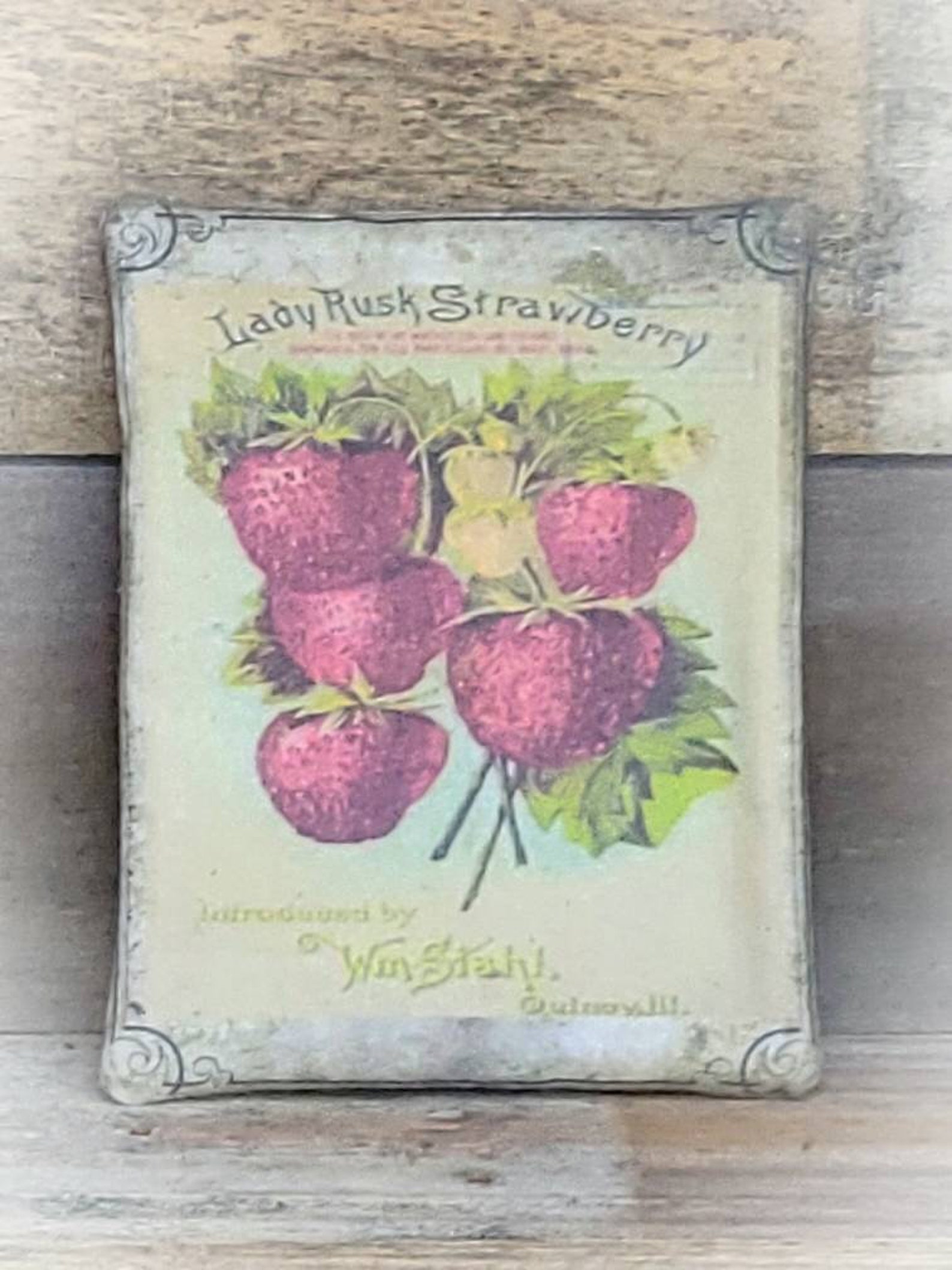 Primitive Fabric Strawberry Seed Packet Bowl Filler Tiered - Etsy