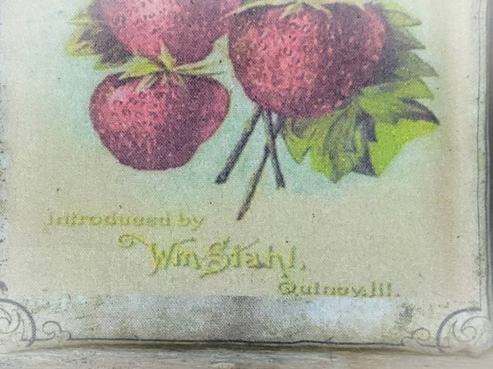 Primitive Fabric Strawberry Seed Packet Bowl Filler Tiered - Etsy