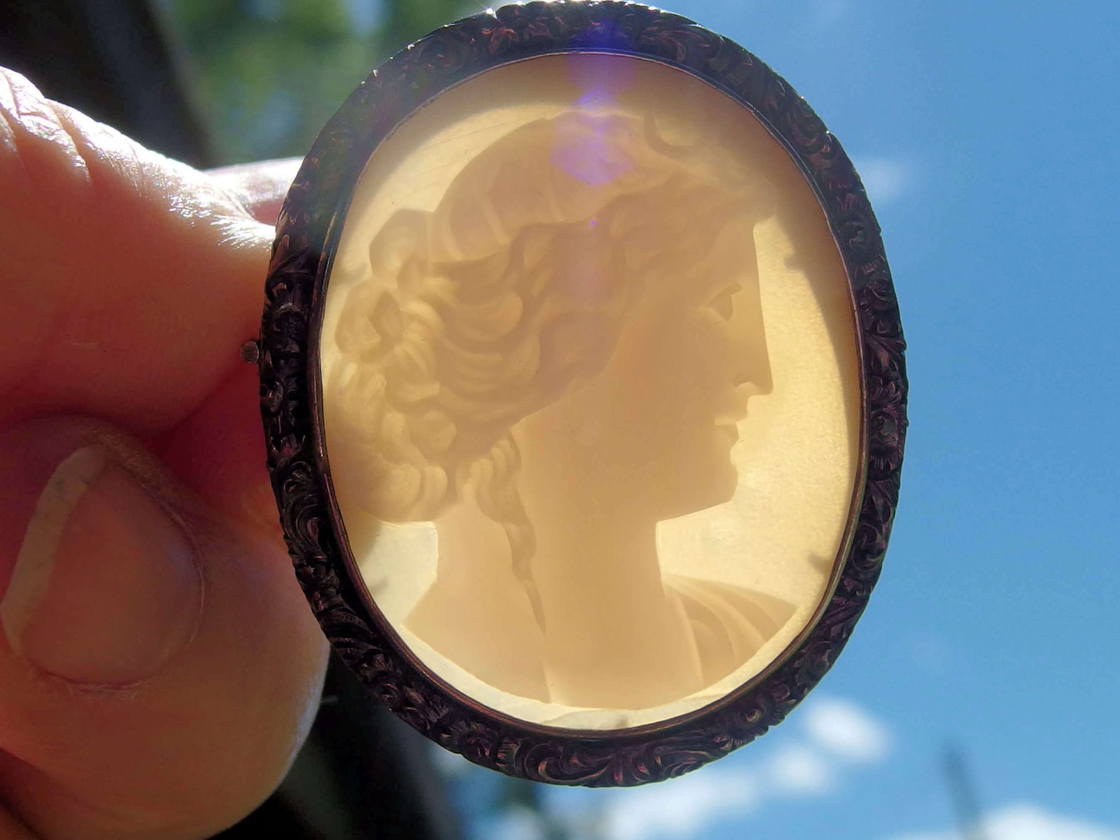 Victorian Silver Shell Cameo Brooch Classical Style Carved | Etsy