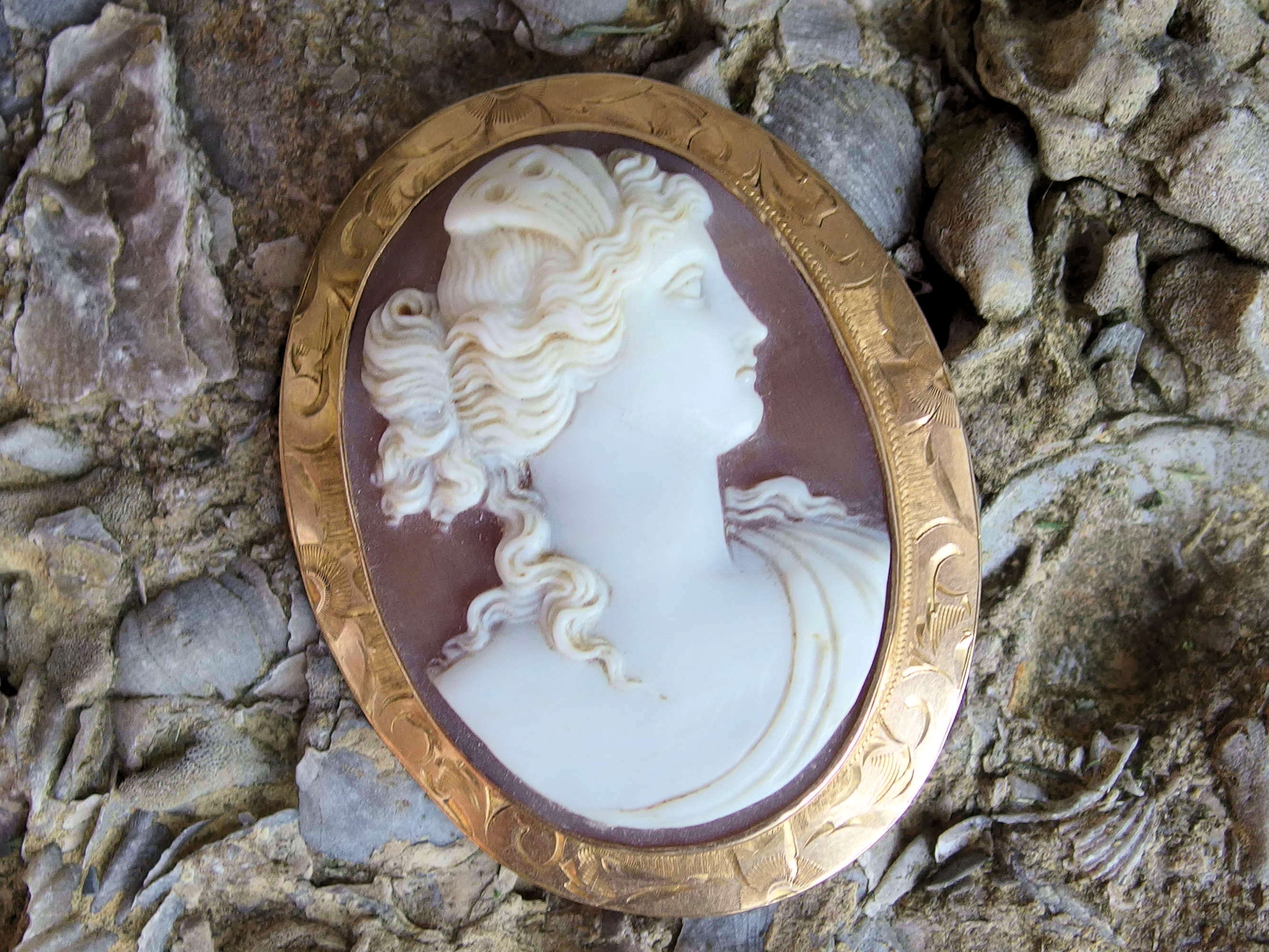 10k Gold Oval Carved Shell Psyche Cameo Brooch, Grand Tour Souvenir ...