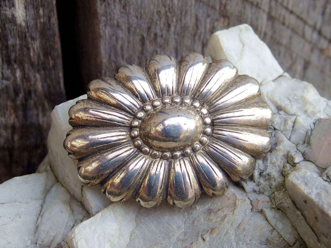 Sterling Silver Oval Concho Brooch, Signed, Great Detail, 13g - Etsy