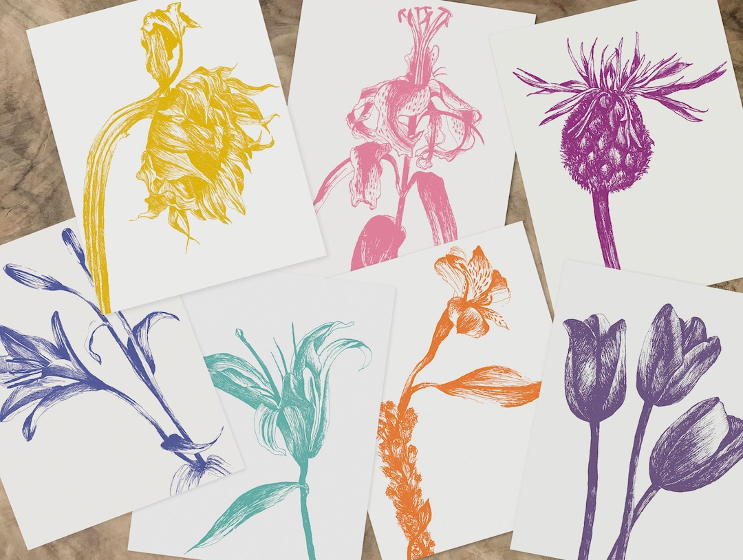 FLOWER Stationery Set, Beautiful Floral Greeting Cards, 14 Card Gift ...