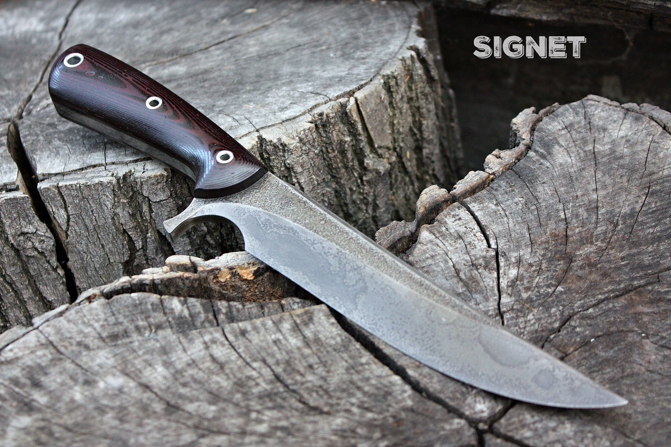 Handcrafted Fallen Oak Forge Signet, survival, hunting or tactical knife