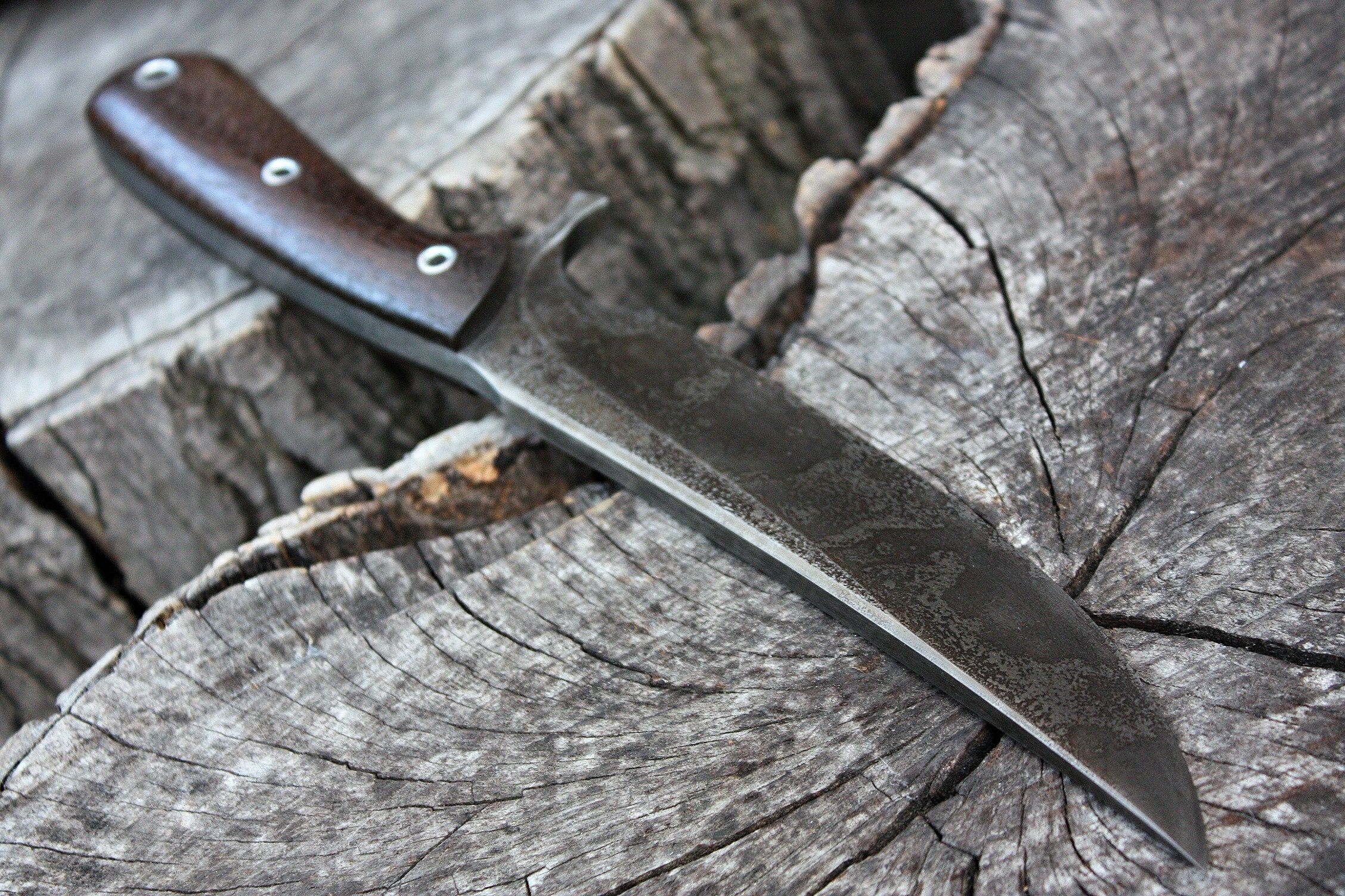 Handcrafted Fallen Oak Forge Signet, survival, hunting or tactical knife