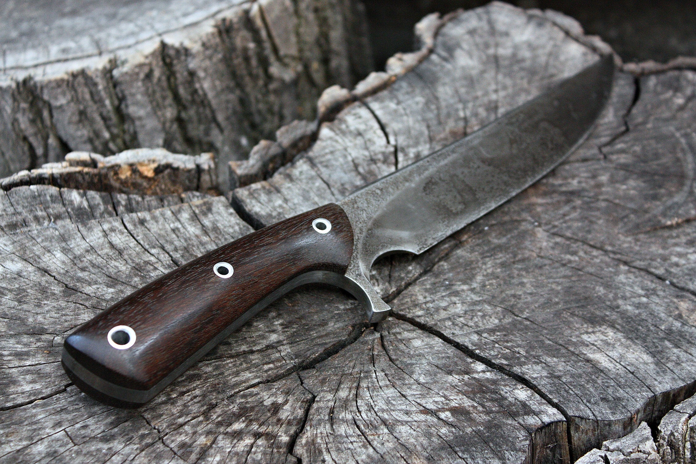 Handcrafted Fallen Oak Forge Signet, survival, hunting or tactical knife