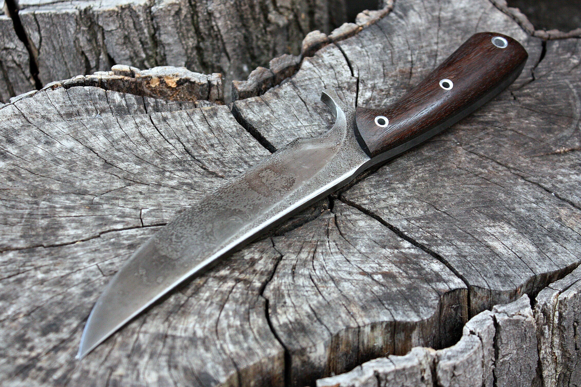 Handcrafted Fallen Oak Forge Signet, survival, hunting or tactical knife