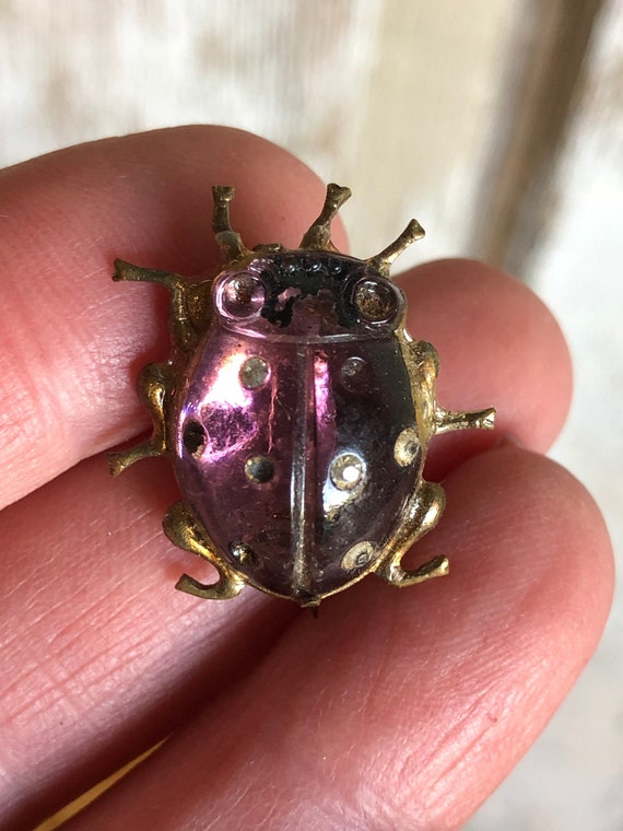 Vintage scarab beetle art - Gem