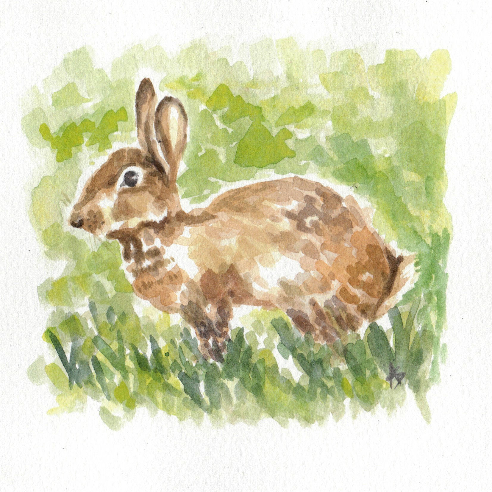 Original Watercolor - Spring Rabbit - 5.5x5.5" - Etsy UK